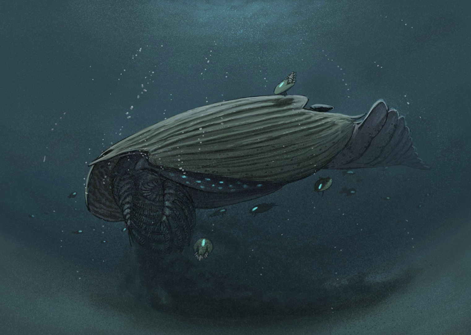 Nature's Early Known Attempts at Making Sea Creatures | eBaum's World
