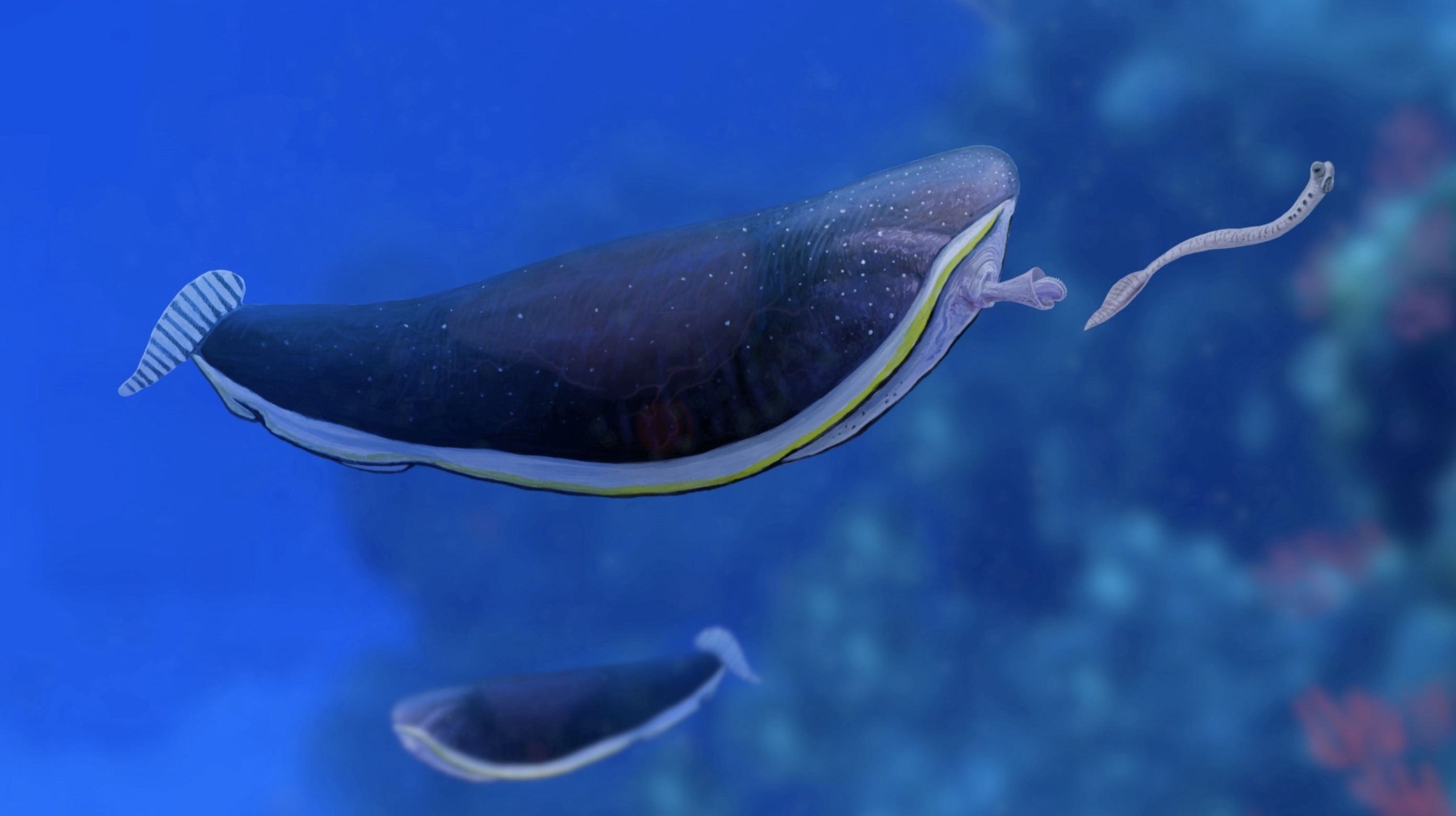 Nature's Early Known Attempts at Making Sea Creatures | eBaum's World