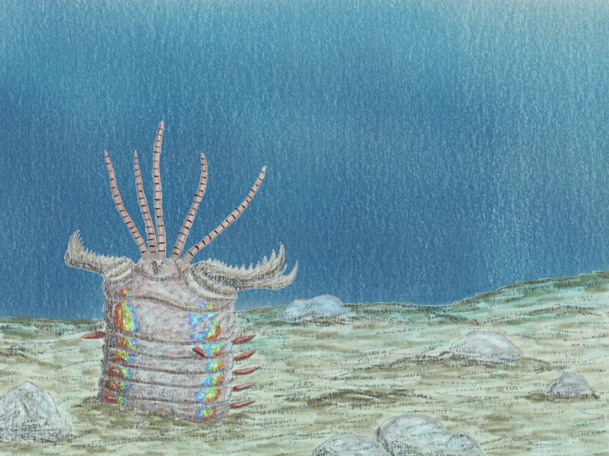 Nature's Early Known Attempts at Making Sea Creatures | eBaum's World