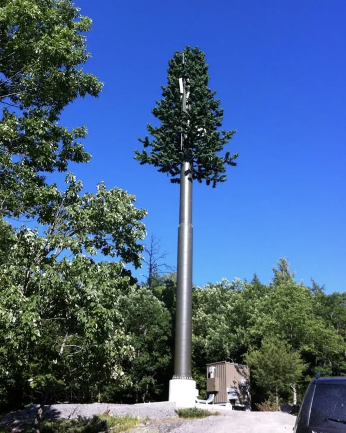 The Best and Worst of Global Telephone Pole Camouflage | eBaum's World