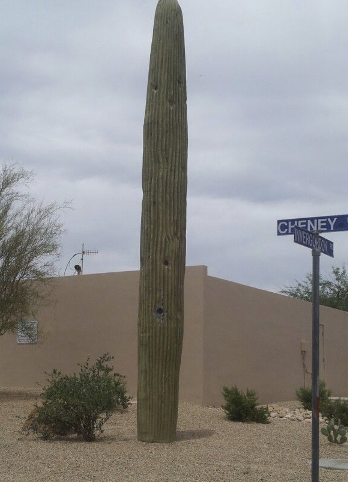 The Best and Worst of Global Telephone Pole Camouflage | eBaum's World