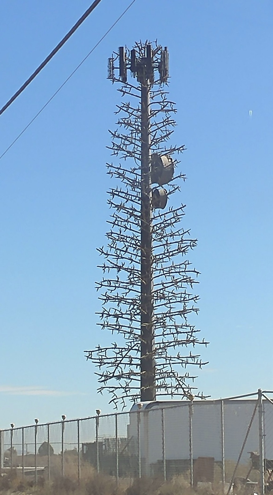 The Best and Worst of Global Telephone Pole Camouflage | eBaum's World