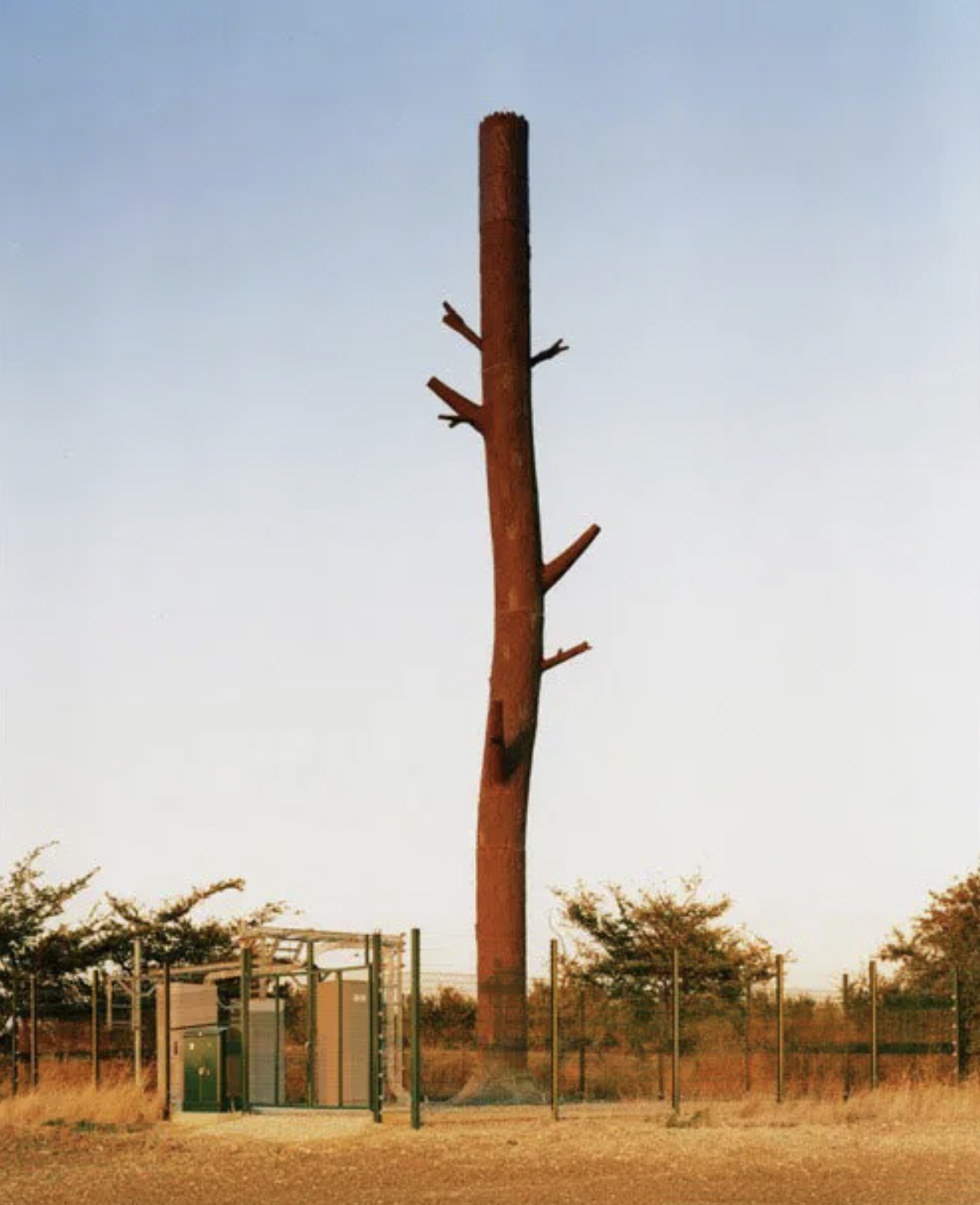 The Best and Worst of Global Telephone Pole Camouflage | eBaum's World