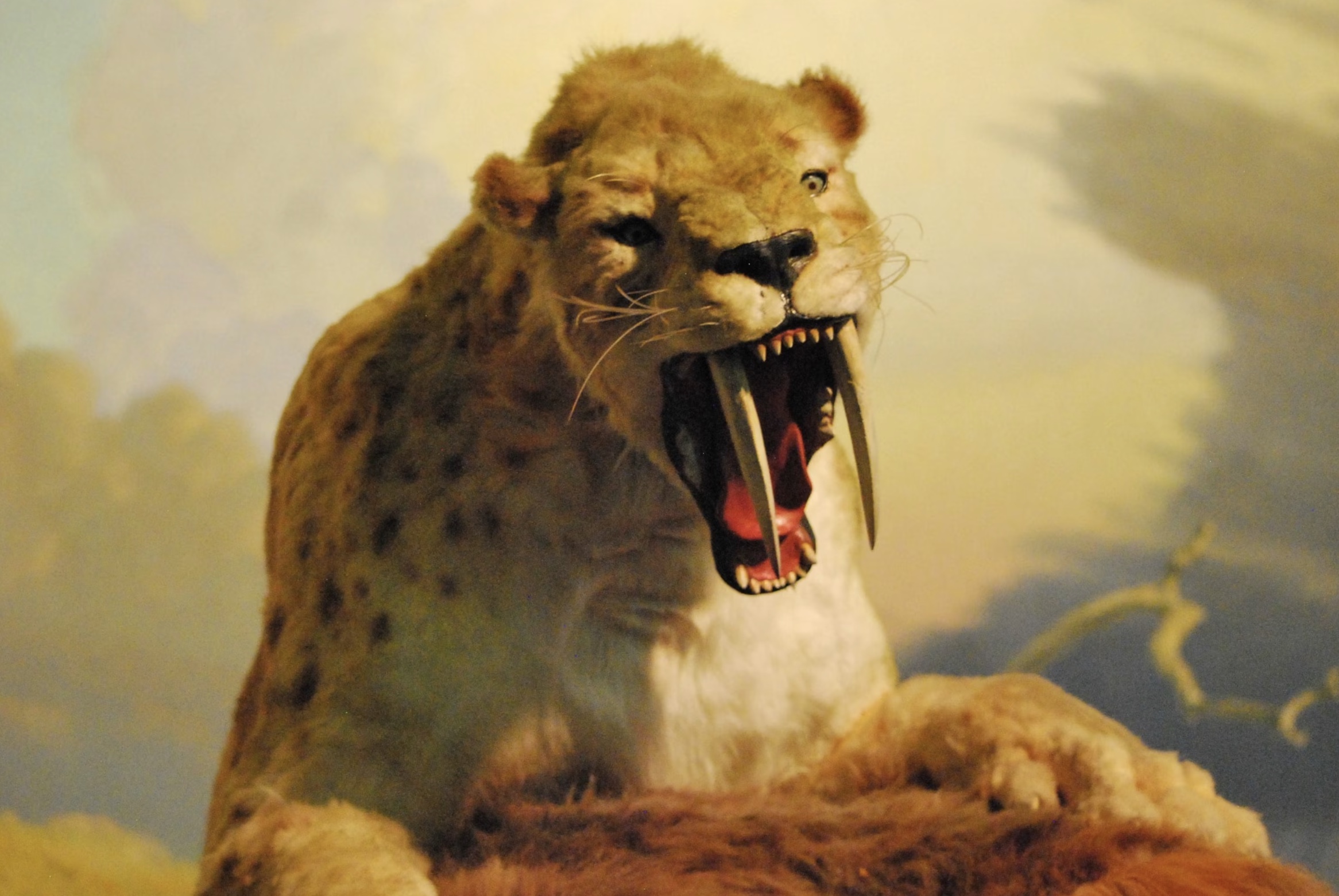 Terrifying Prehistoric Creatures We're Glad Are Gone | eBaum's World