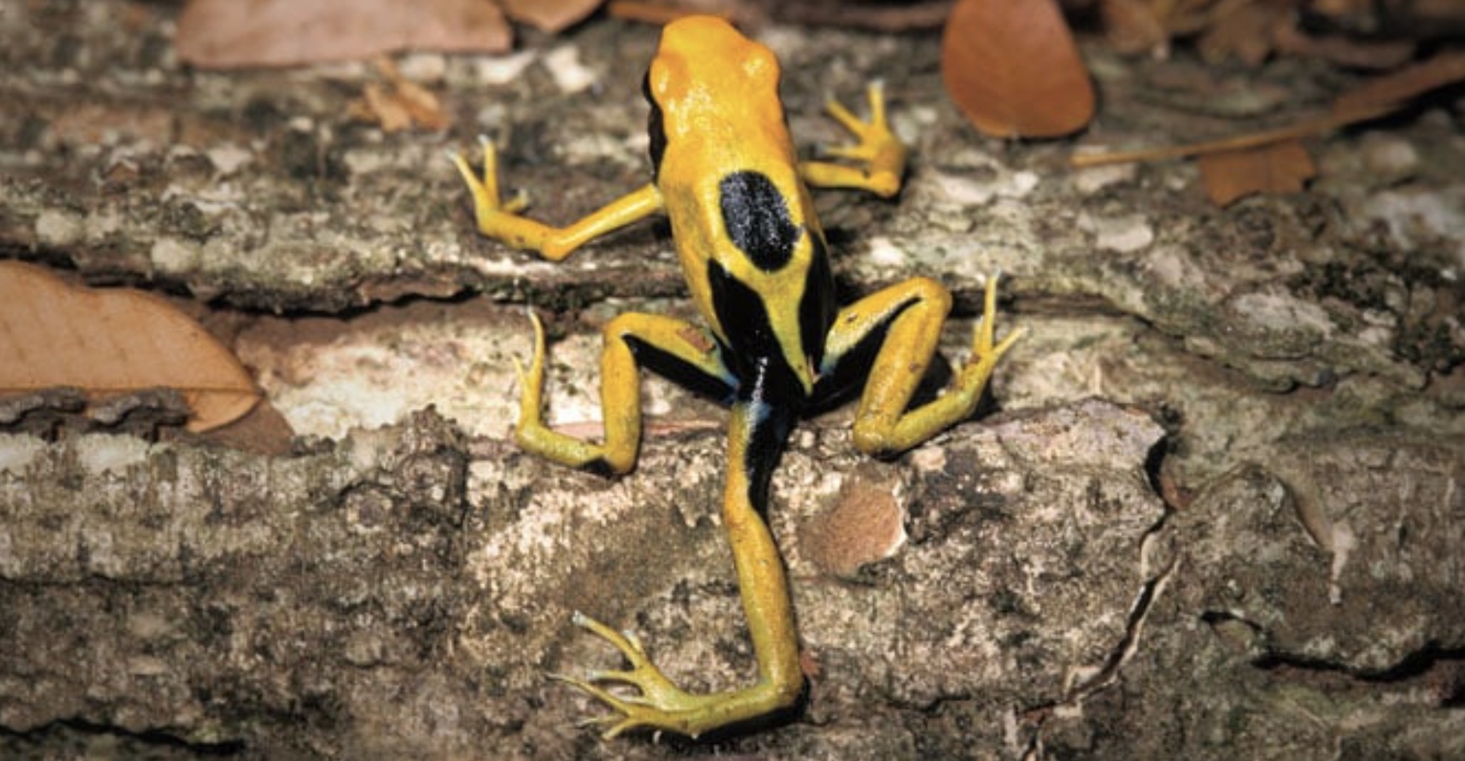 Our Awesome World, Seen in Striking Photos | eBaum's World