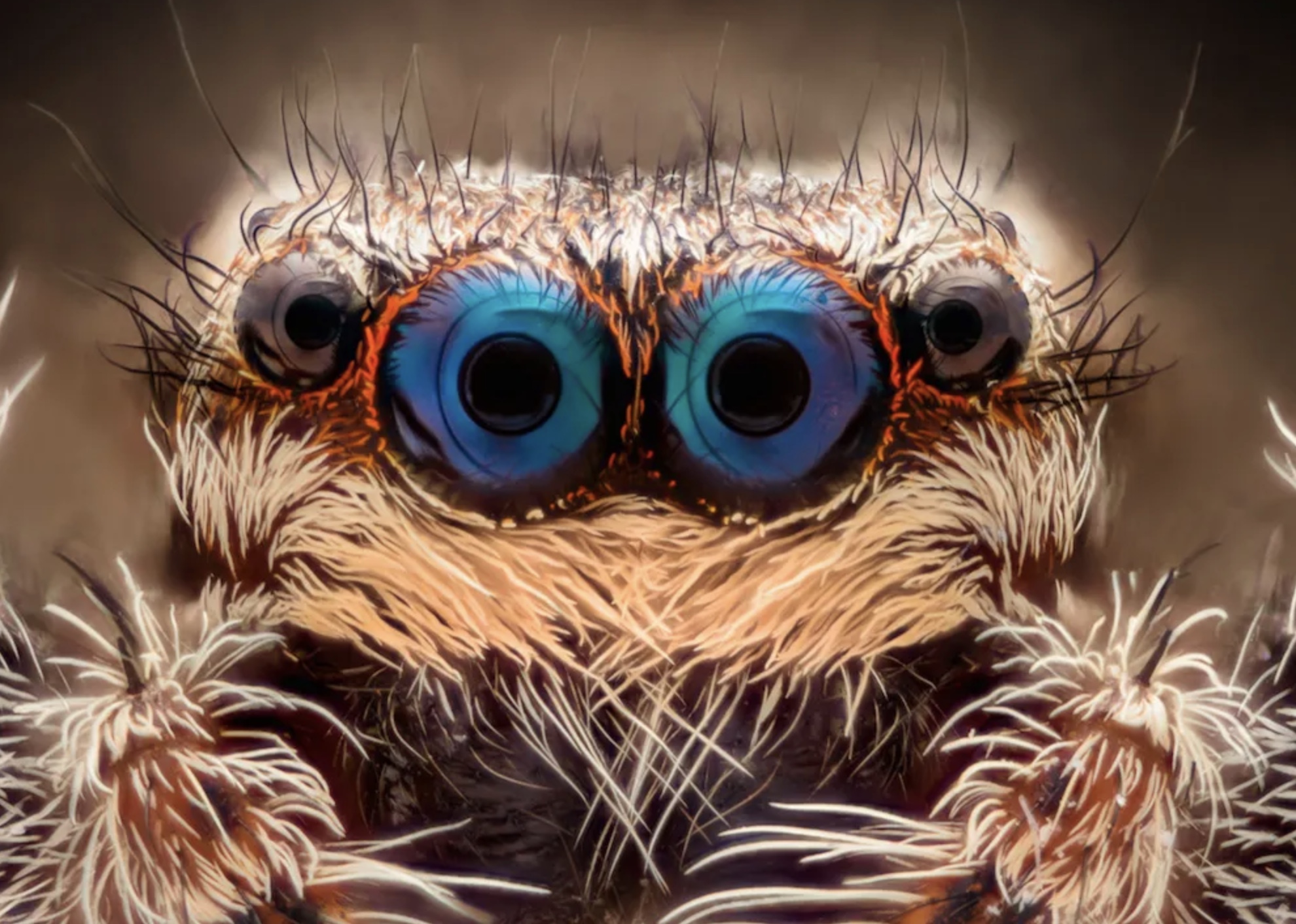 Close-Ups of the Animal Kingdom's Craziest Eyes | eBaum's World
