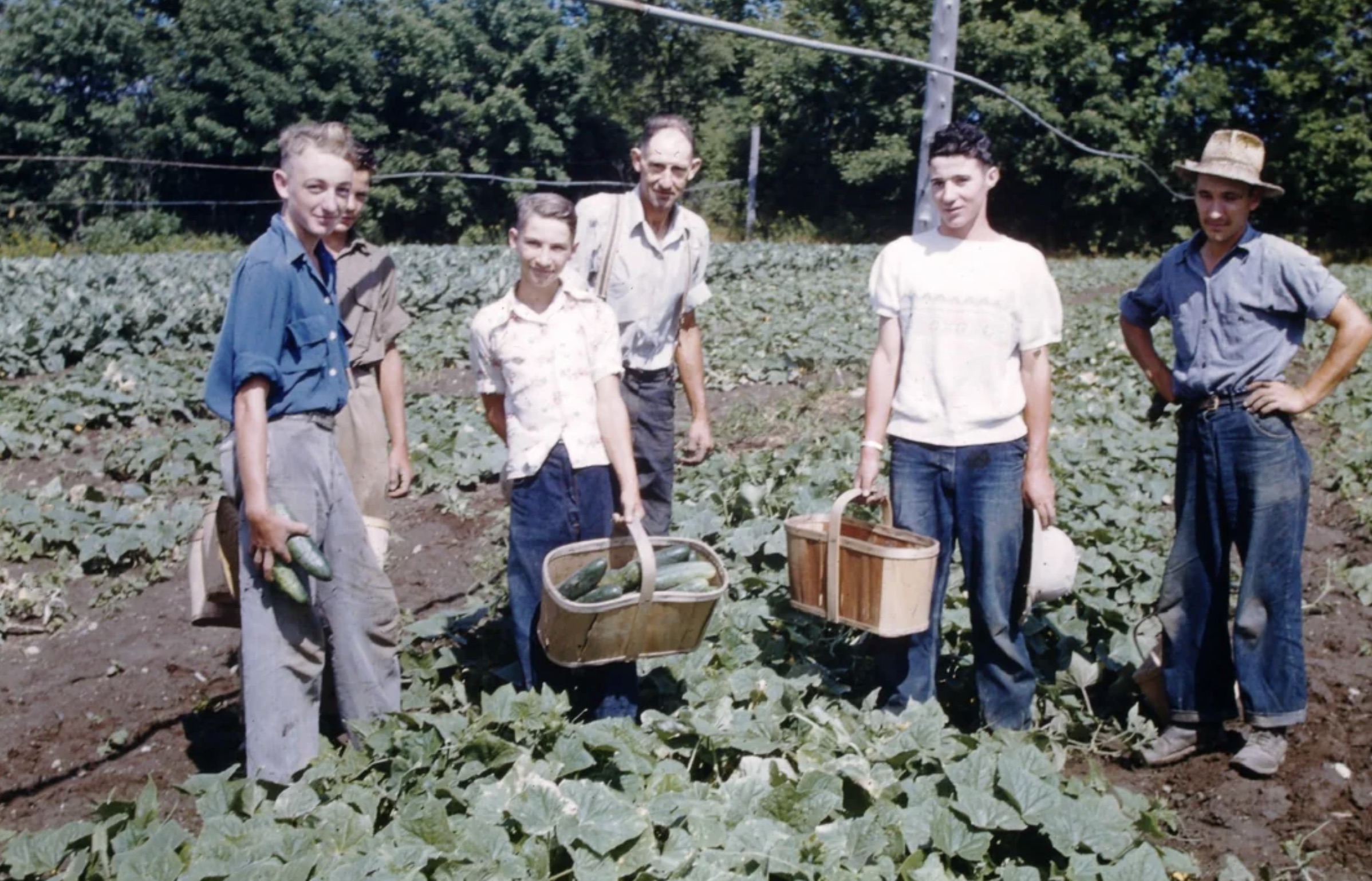 20 Old-School Photos Showing Real Life on the Farm | eBaum's World
