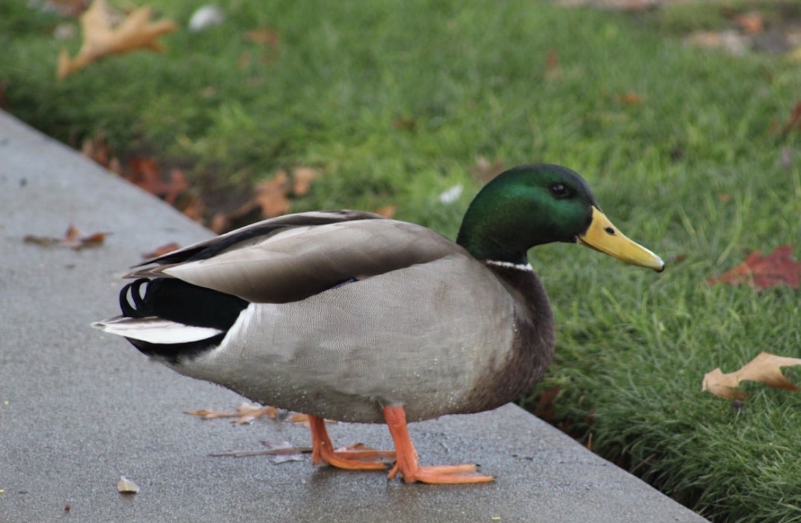 Comedy or Tragedy? 14 Times Death Had Some Humor to It | eBaum's World