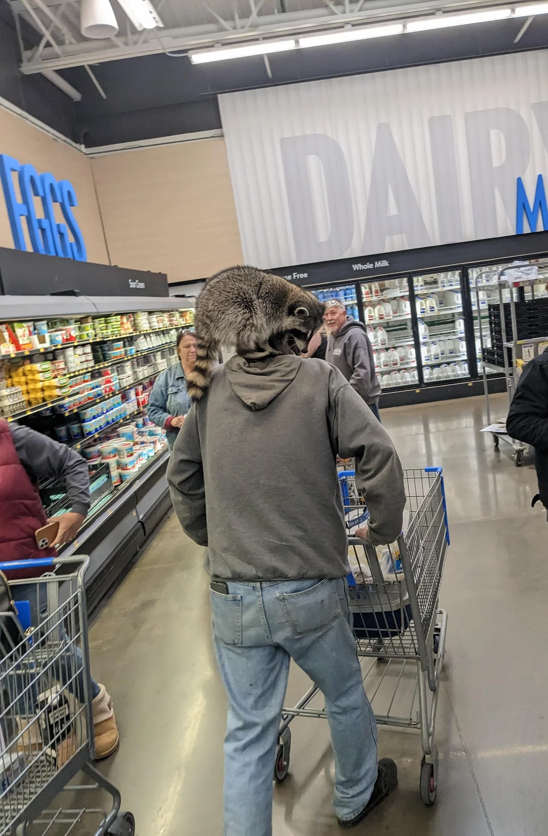 16 People of Walmart Really Strutting Their Stuff | eBaum's World