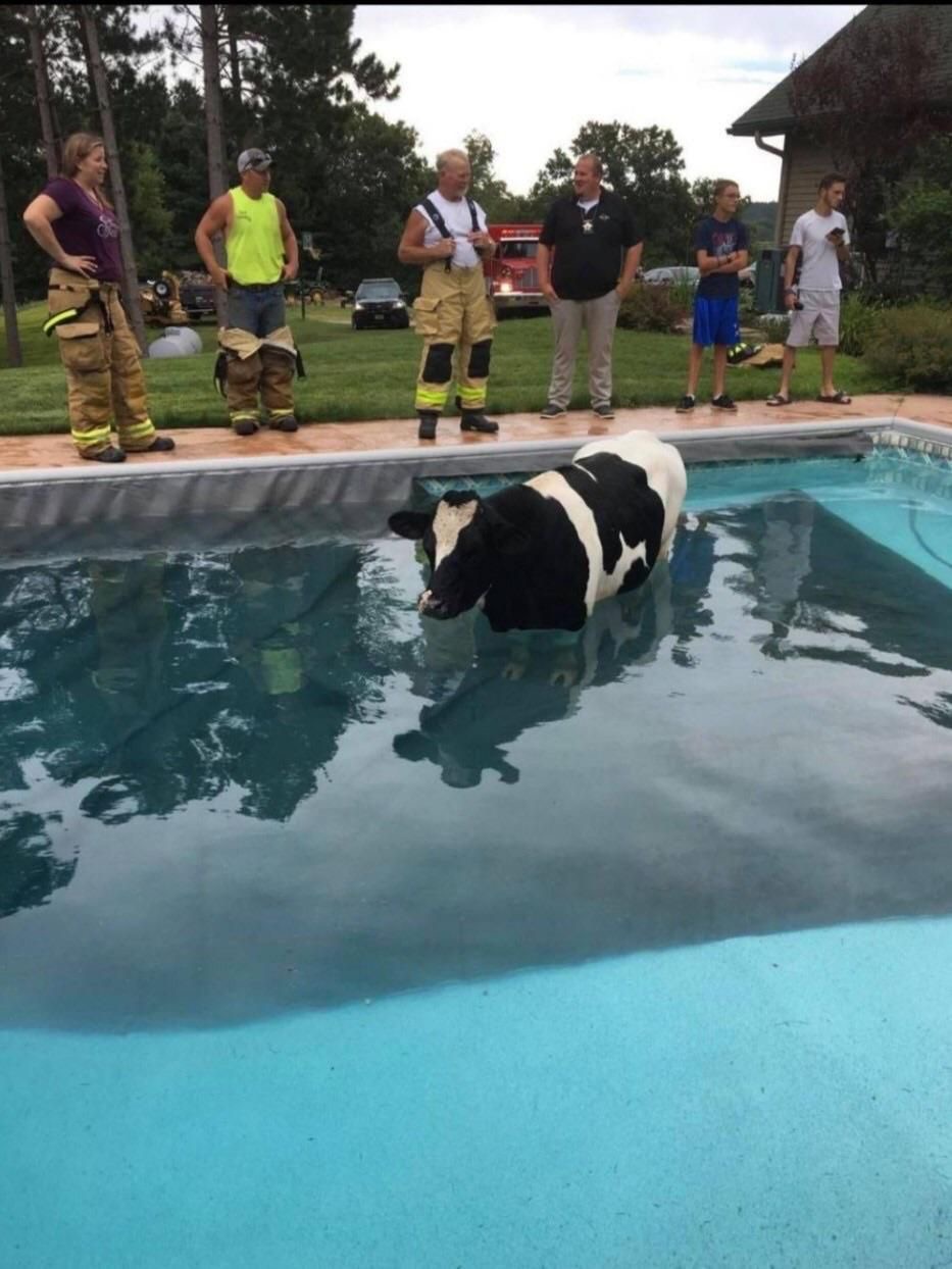 20 Photos Where Common Sense Forgot to RSVP | eBaum's World