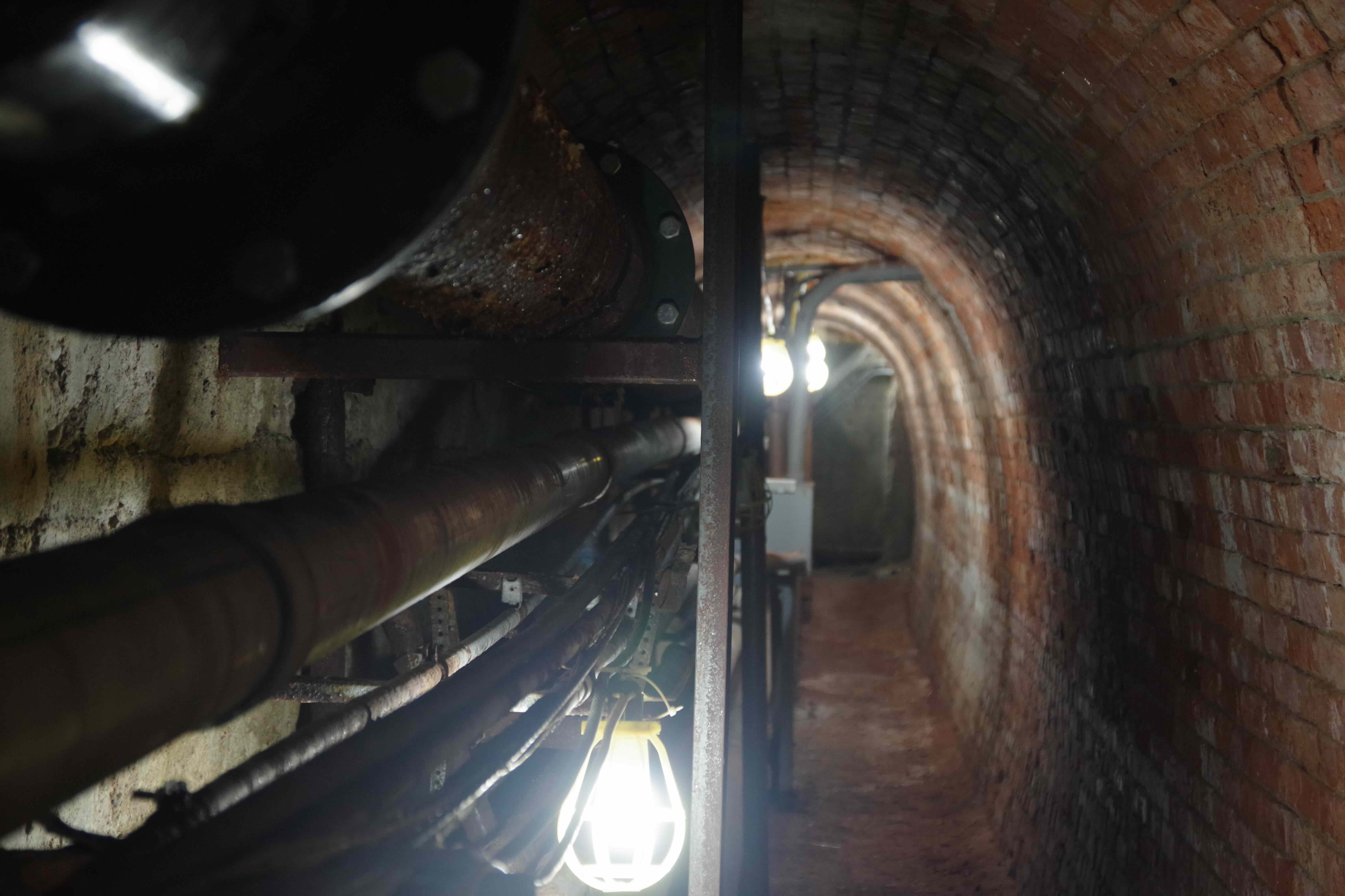 16 Creepy Urban Legends That Turned Out To Be True | eBaum's World