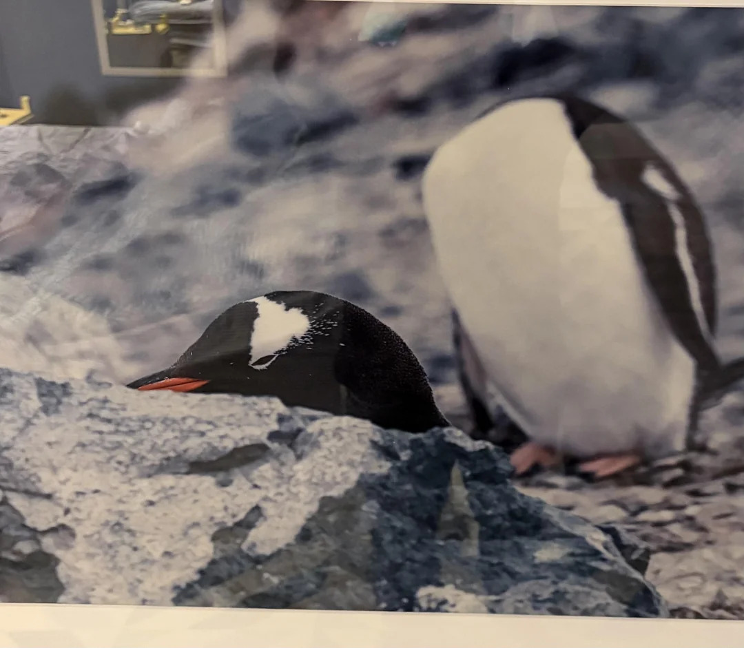 20 Photos That Aren't What You Thought at First Glance | eBaum's World
