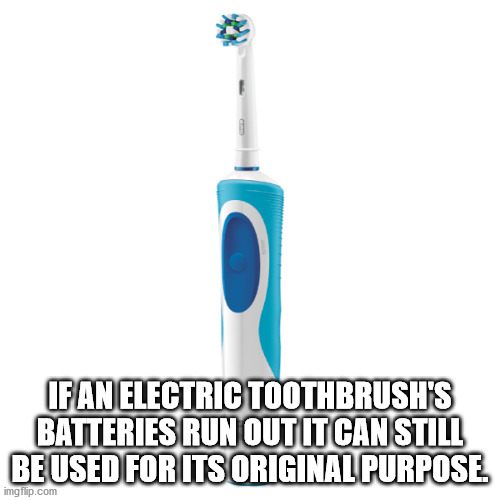 Some Shower Thoughts - Gallery | eBaum's World