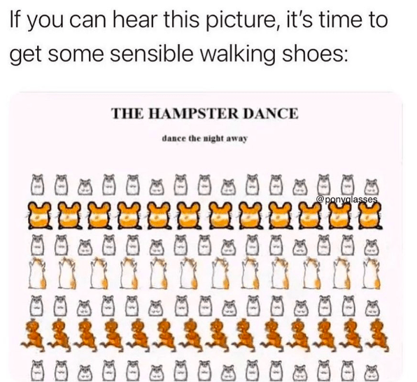 Little Misc.-y - Gallery | eBaum's World