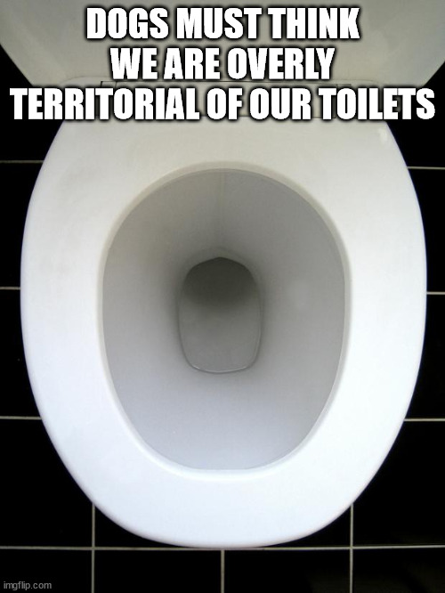 Shower Thoughts From Shower Thots Gallery Ebaums World