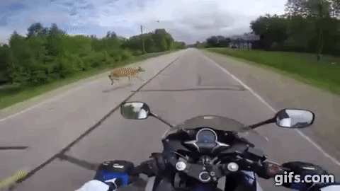 Wedding Crashers Motorboating Gifs Animated