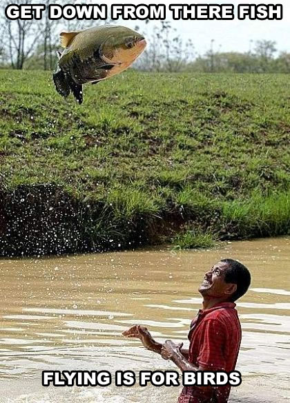 Creatures misbehaving - Gallery | eBaum's World