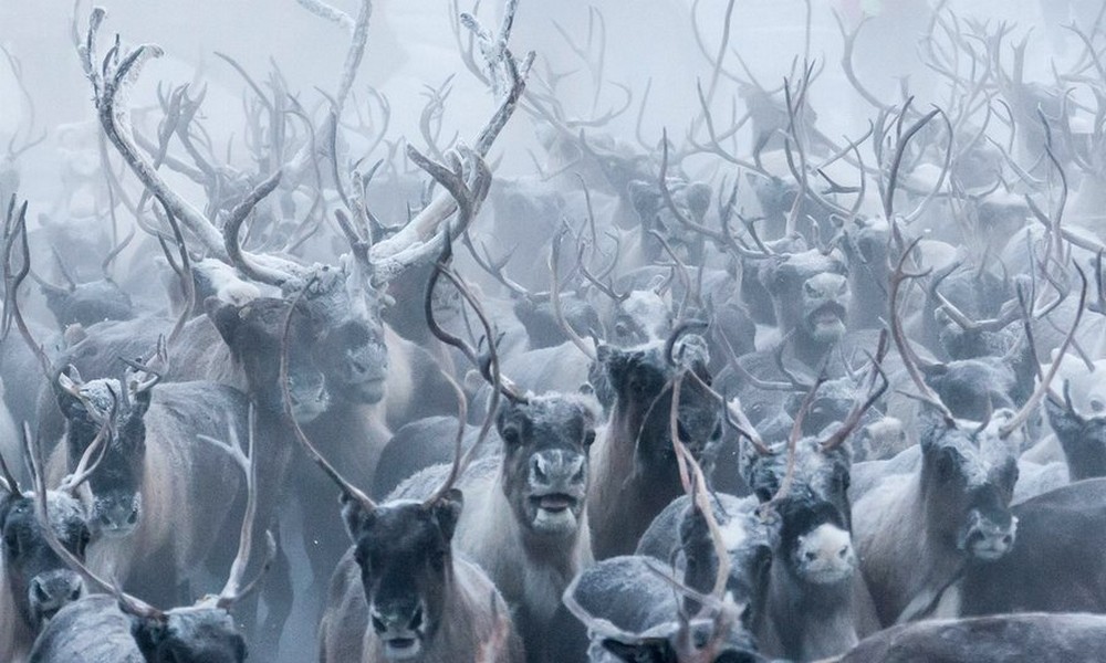 Photo Mix - Gallery | eBaum's World