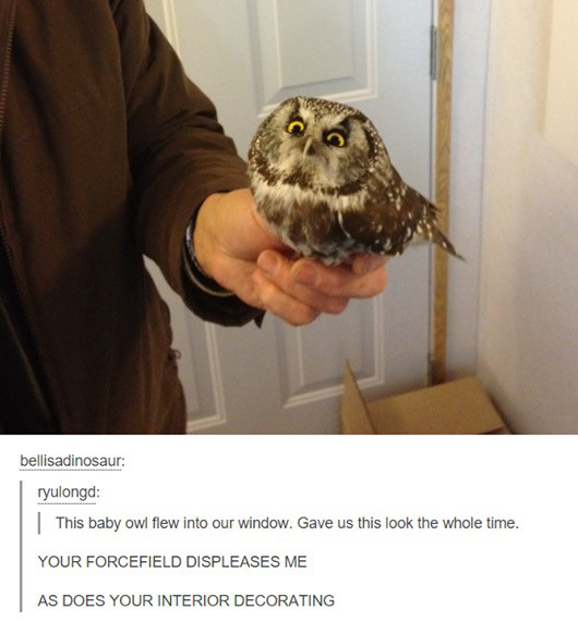 37 Times Tumblr Was So On Point Gallery EBaum s World