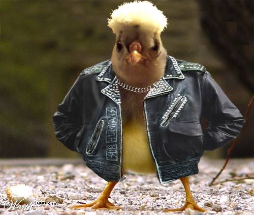 Random cool pictures from life - Gallery | eBaum's World