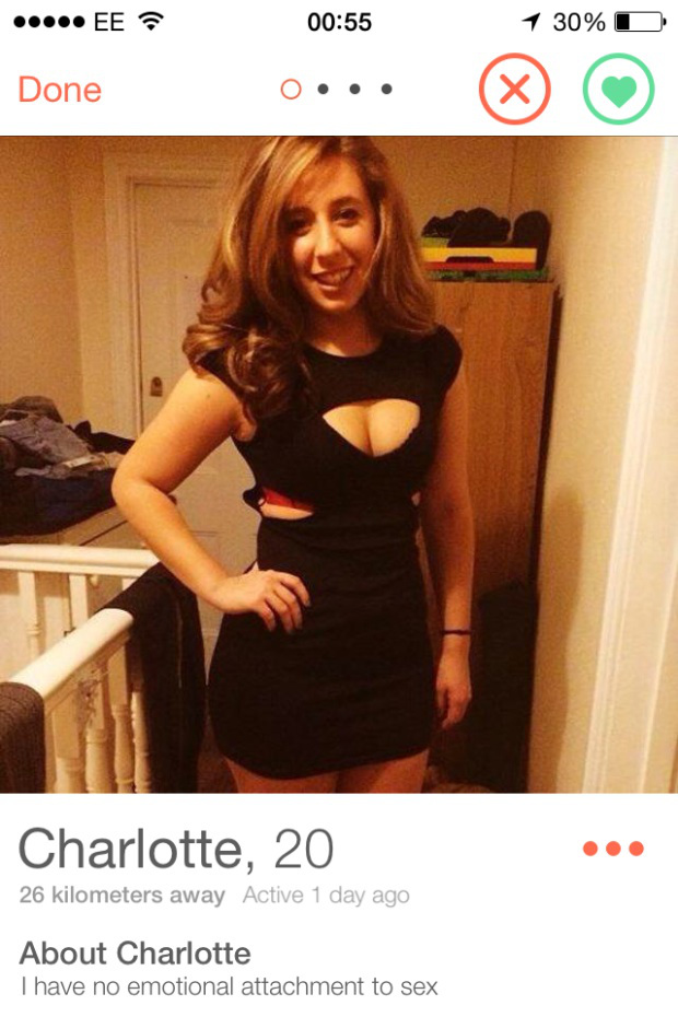 Fake Tinder Profile Template