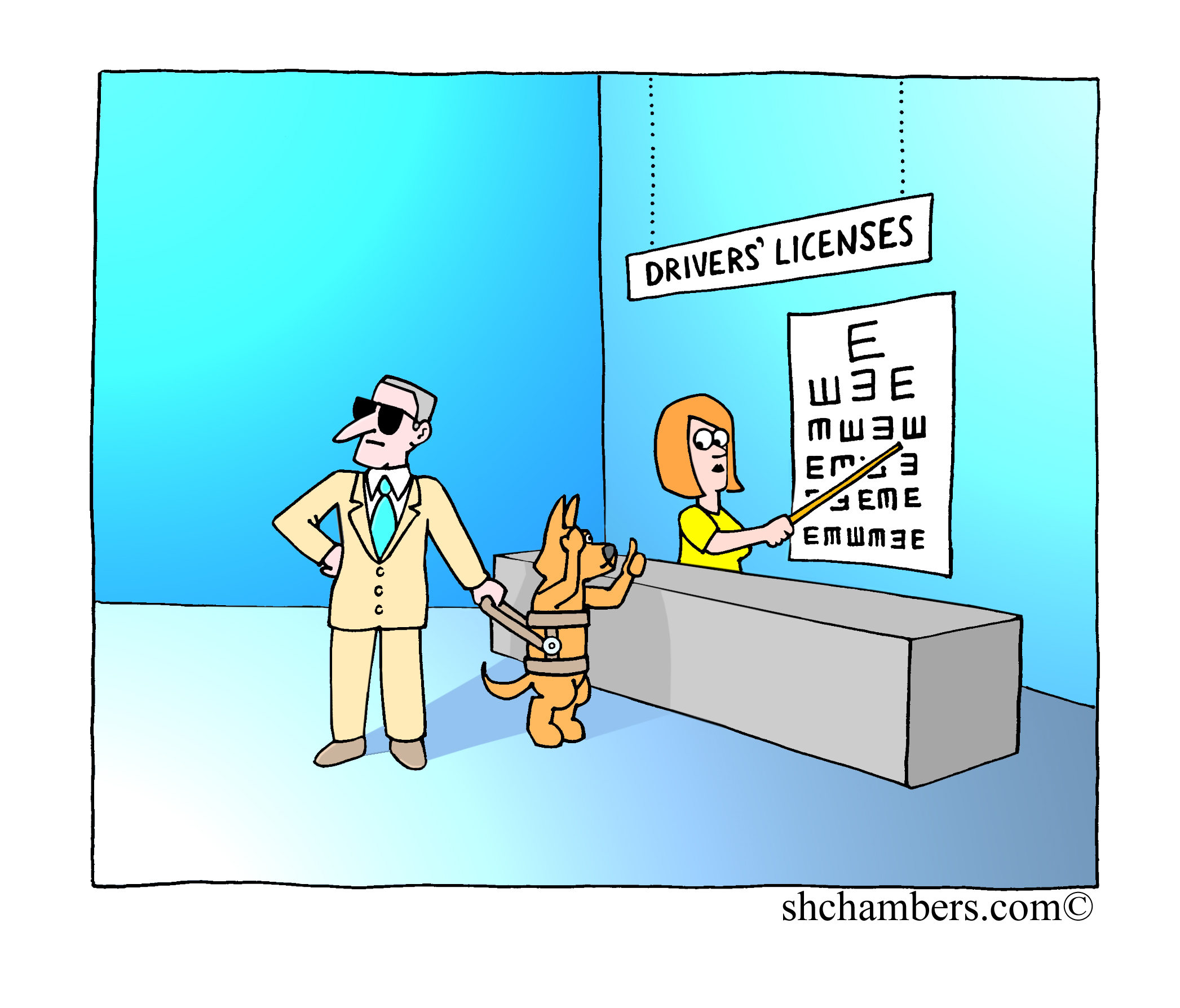 A Dog License Picture EBaum s World