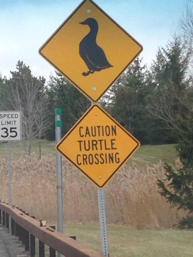 30 Examples Of Close Enough Funny Gallery EBaum s World