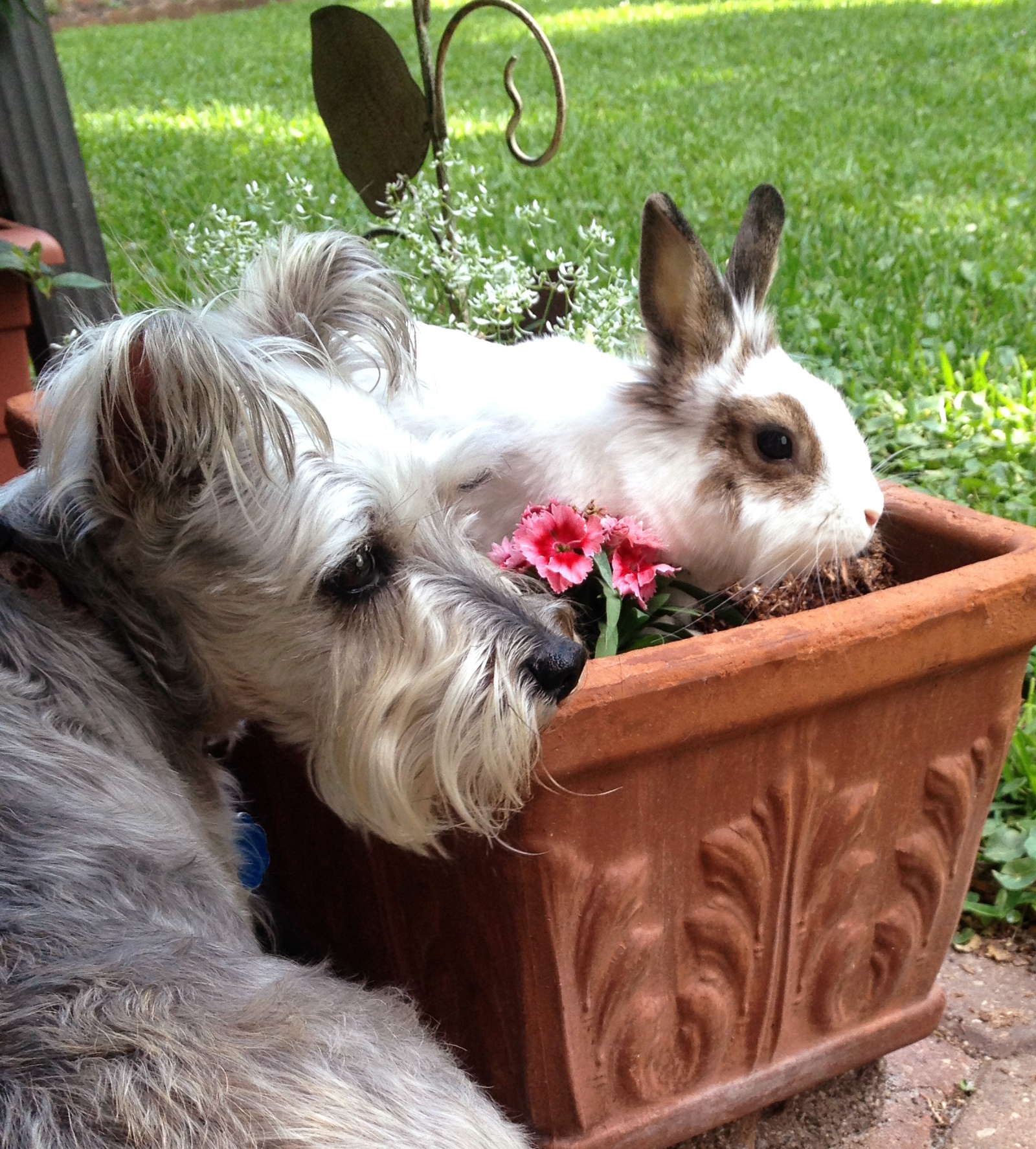 20 sweet critter pics for Mother's Day - Gallery | eBaum's World