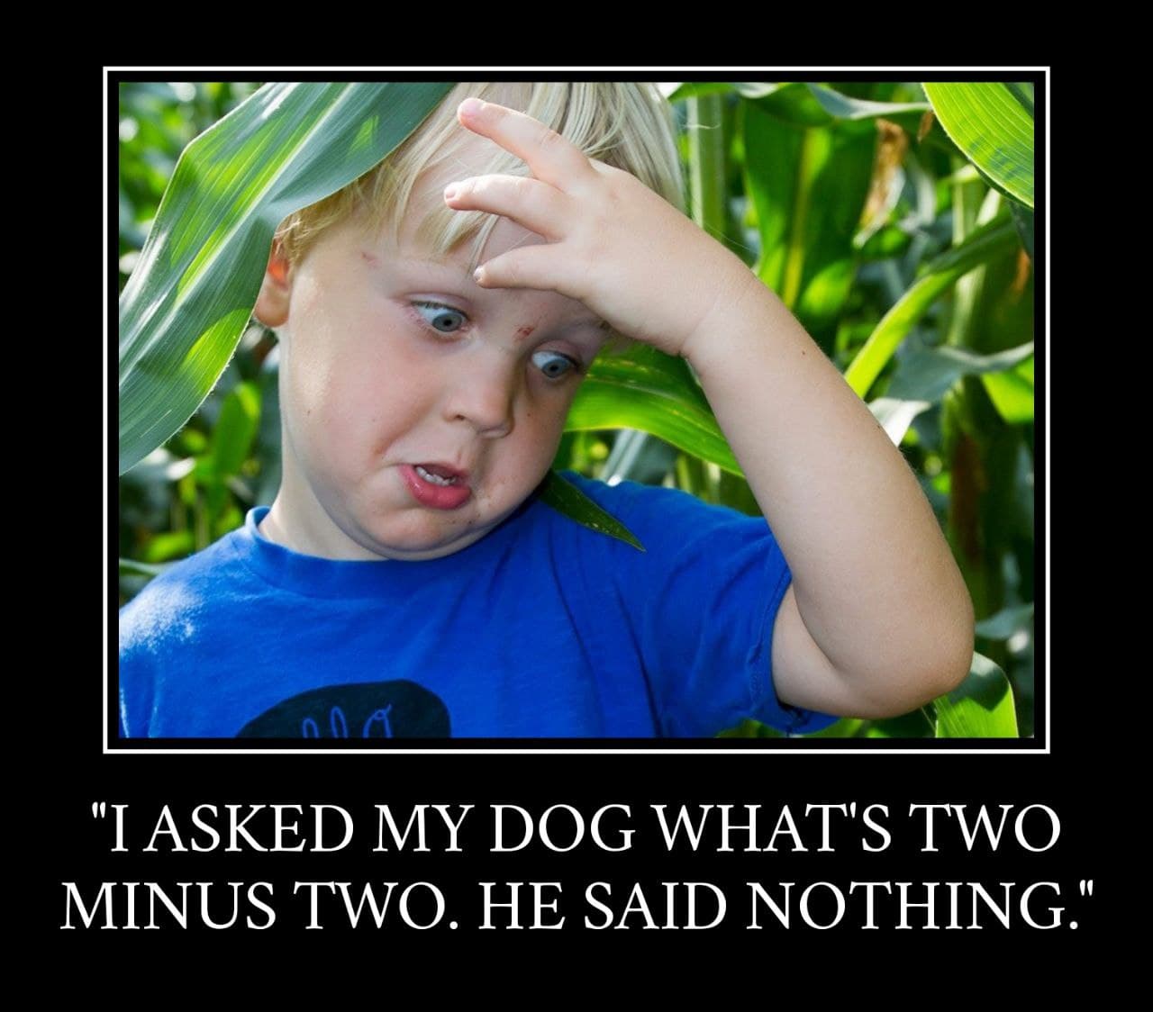 The Dog Is Right Picture EBaum s World