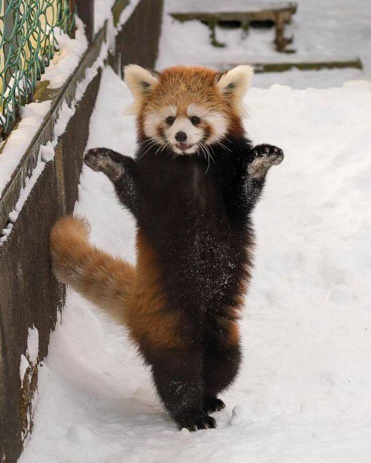 43 Random Pics With No Relevance Intended Funny Gallery EBaum s World 43 Random Pics With No Relevance Intended Funny Gallery EBaum s World