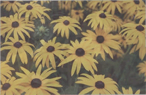 Dark Secret - Picture | eBaum's World