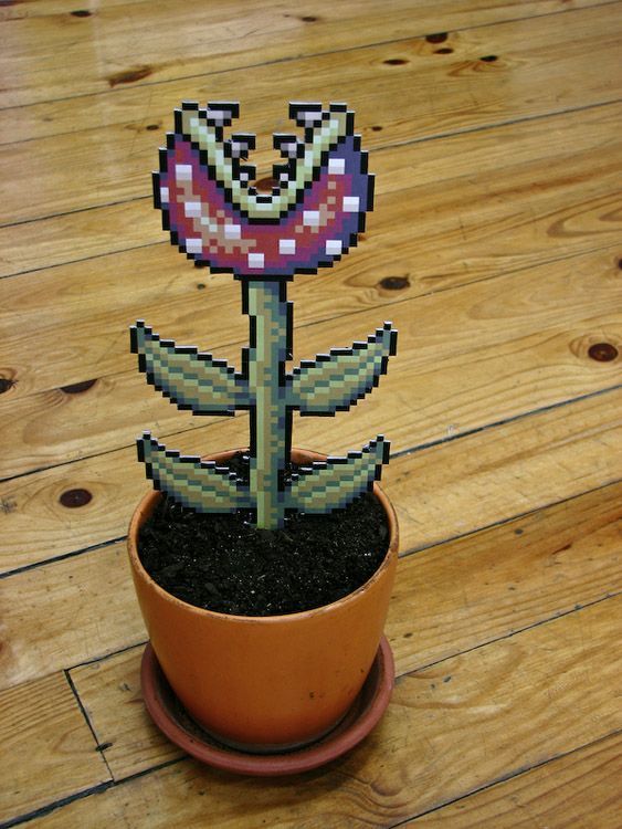 Growing a Nintendo flower - Picture | eBaum's World