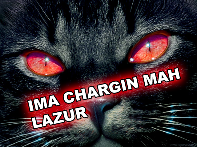 Pimp Cat - Picture | eBaum's World