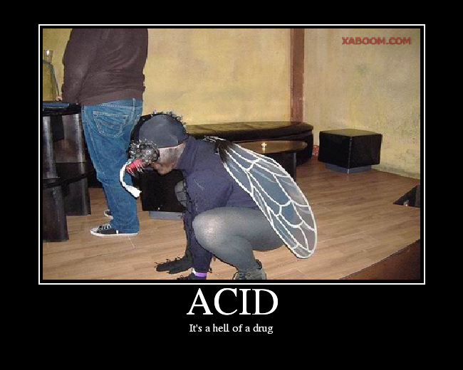 Funny Acid Memes