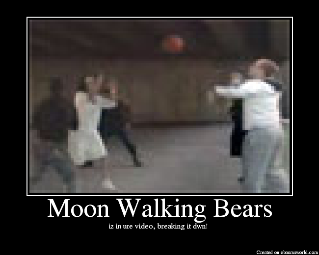 Moon Walking Bears - Picture | eBaum's World