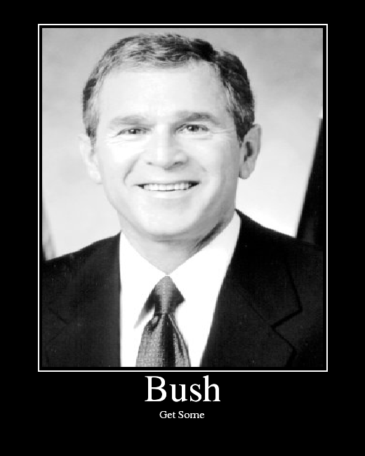 Bush - Picture | eBaum's World