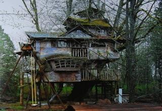 31 Awesome Tree Houses - Win Gallery | eBaum's World