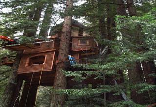 31 Awesome Tree Houses - Win Gallery | eBaum's World