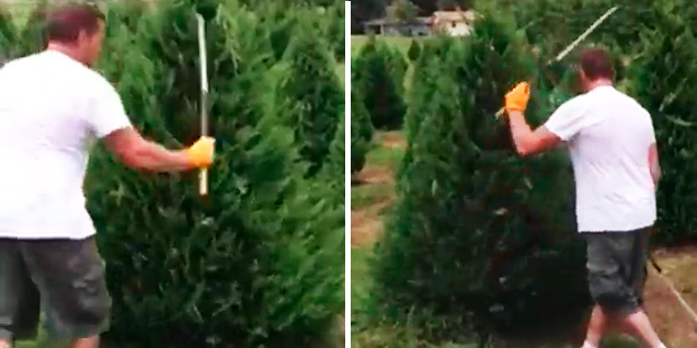 Tree Trimming Ninja Has Mad Skills - Funny Video | eBaum's World