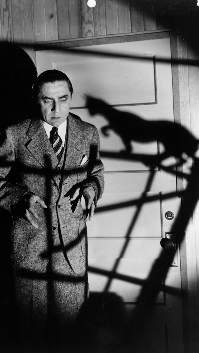 26 Unusual Phobias You’ve Never Heard Of - Gallery | eBaum's World