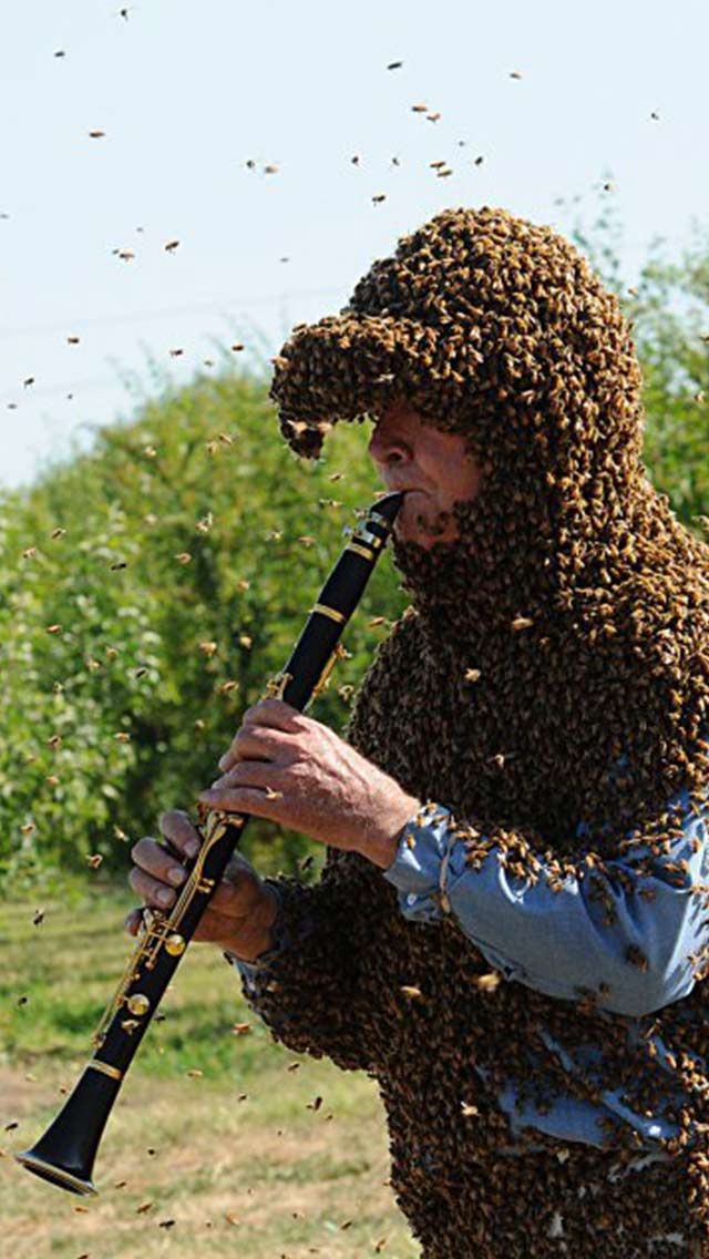 16 People Who Let Bugs Do Weird Things - Eww Gallery | eBaum's World