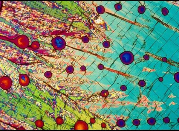 25 Stunning Photos of Everyday Things Under A Microscope - Ftw Gallery ...