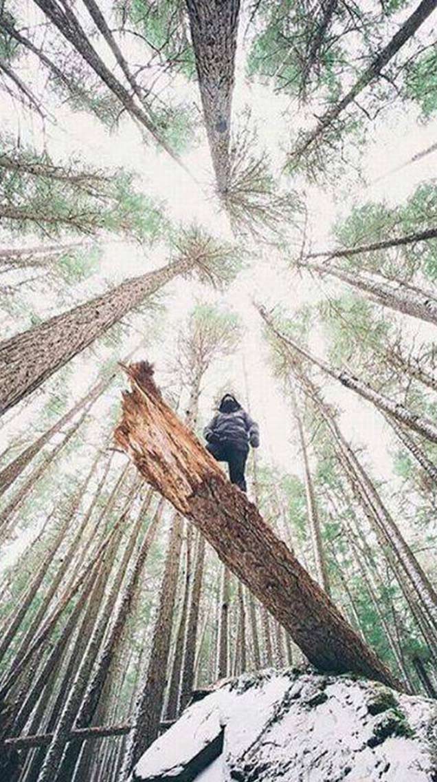 31 Random Pics To Make You Feel Good - Funny Gallery | eBaum's World