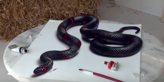 These Hyper-Realistic Drawings Will Blow Your Mind - Wow Video | eBaum ...