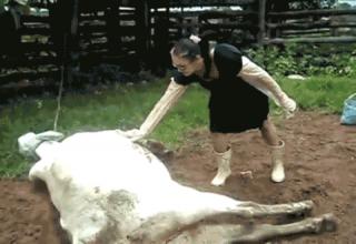 15 People Who Foolishly Found Out The Hard Way - Funny Gallery | eBaum ...