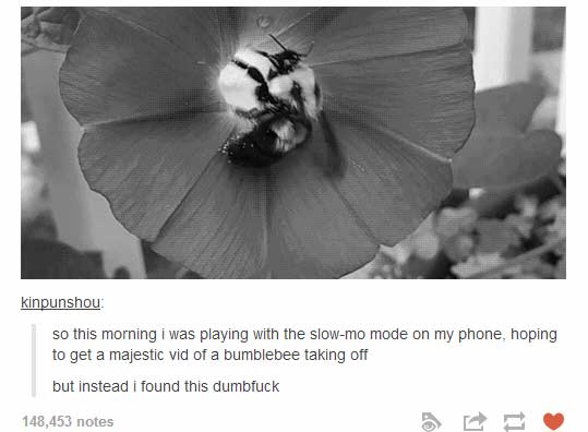 16 Tumblr Posts For When You Need A Quick Break - Funny Gallery | eBaum ...
