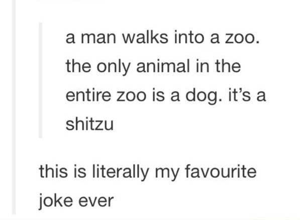 23 Ingenious Jokes That You Should Steal and Use Immediately - Funny ...