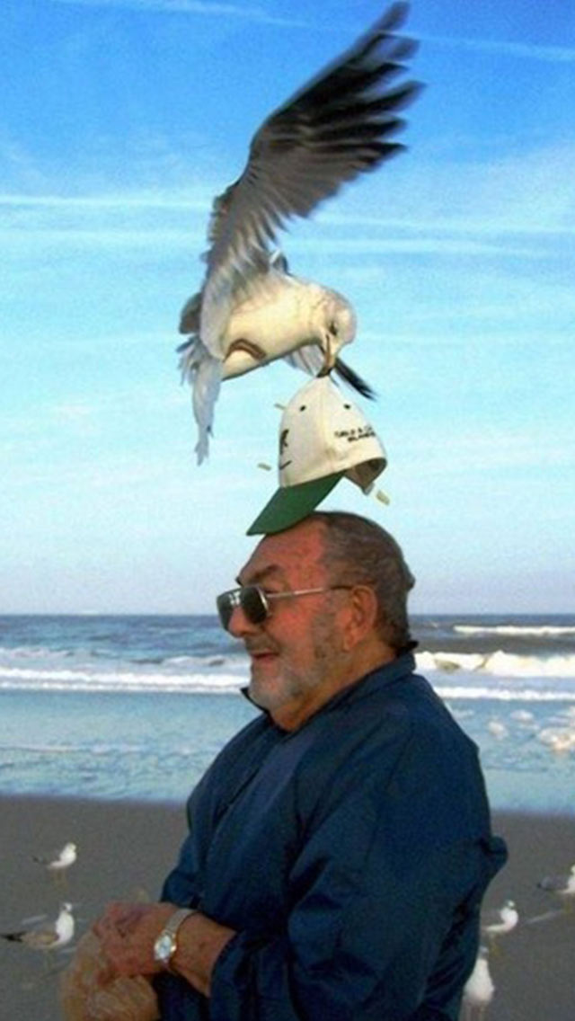 The Most Important WTF Beach Photos Ever Taken - Wtf Gallery | eBaum's ...