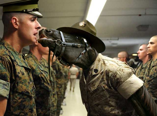 28 Funny Weird And WTF Pics You Can't Help But Enjoy - Funny Gallery ...