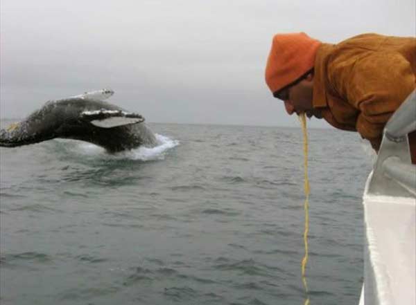 26 Perfectly Timed Photos - Wow Gallery | eBaum's World